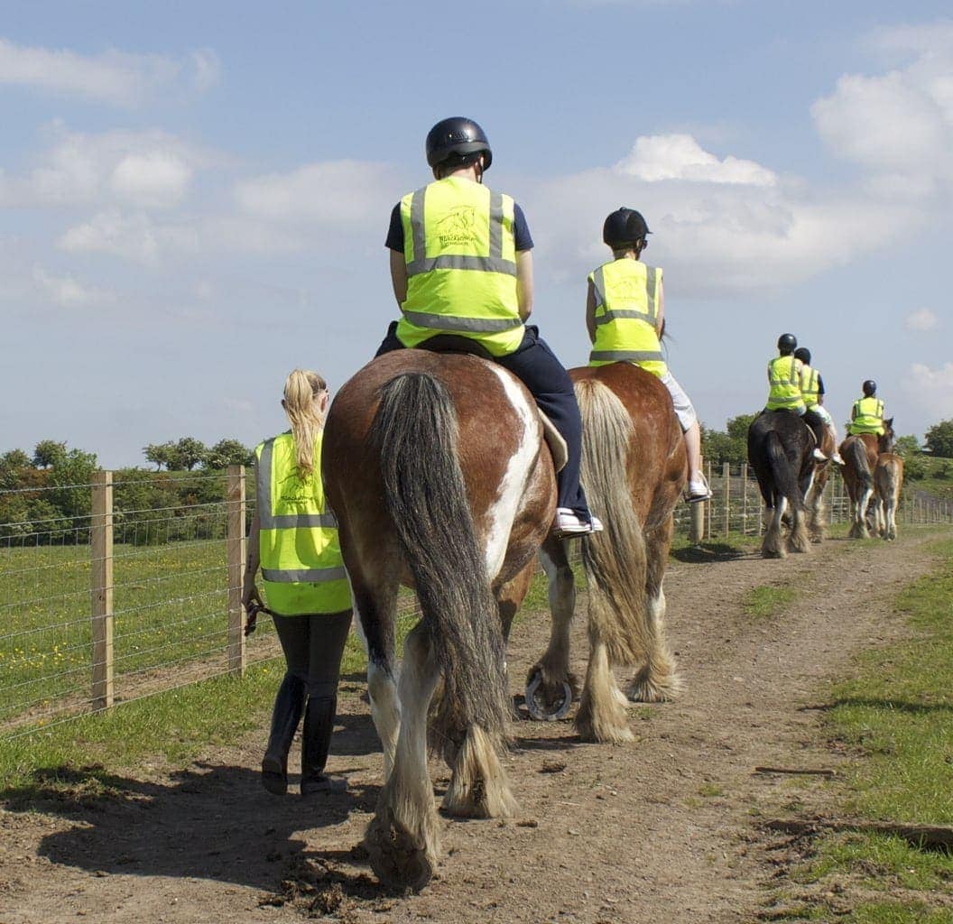 Blackstone Clydesdale Horse Farm Ride Experience Ayrshire